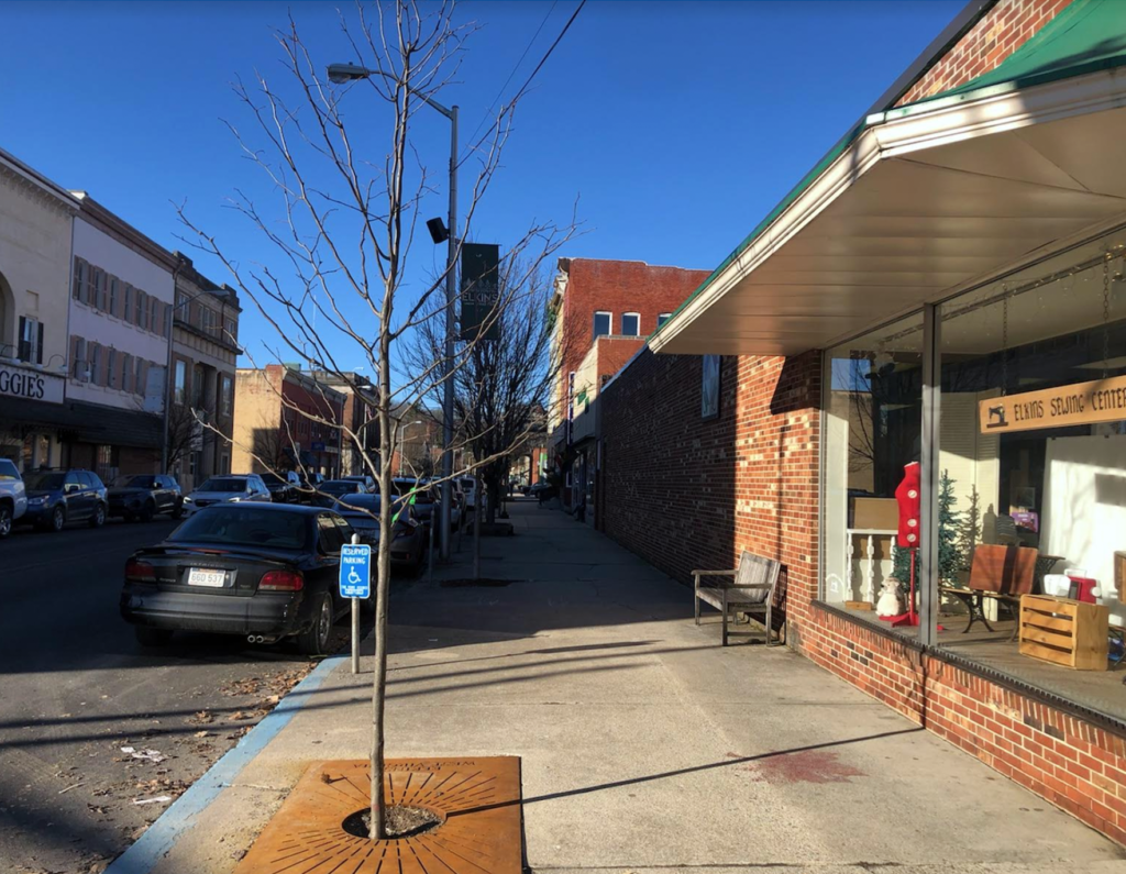 Update on Downtown Trees - City of Elkins