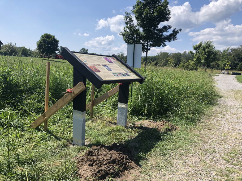 New Glendale Pollinator Garden Interpretive Sign - City of Elkins